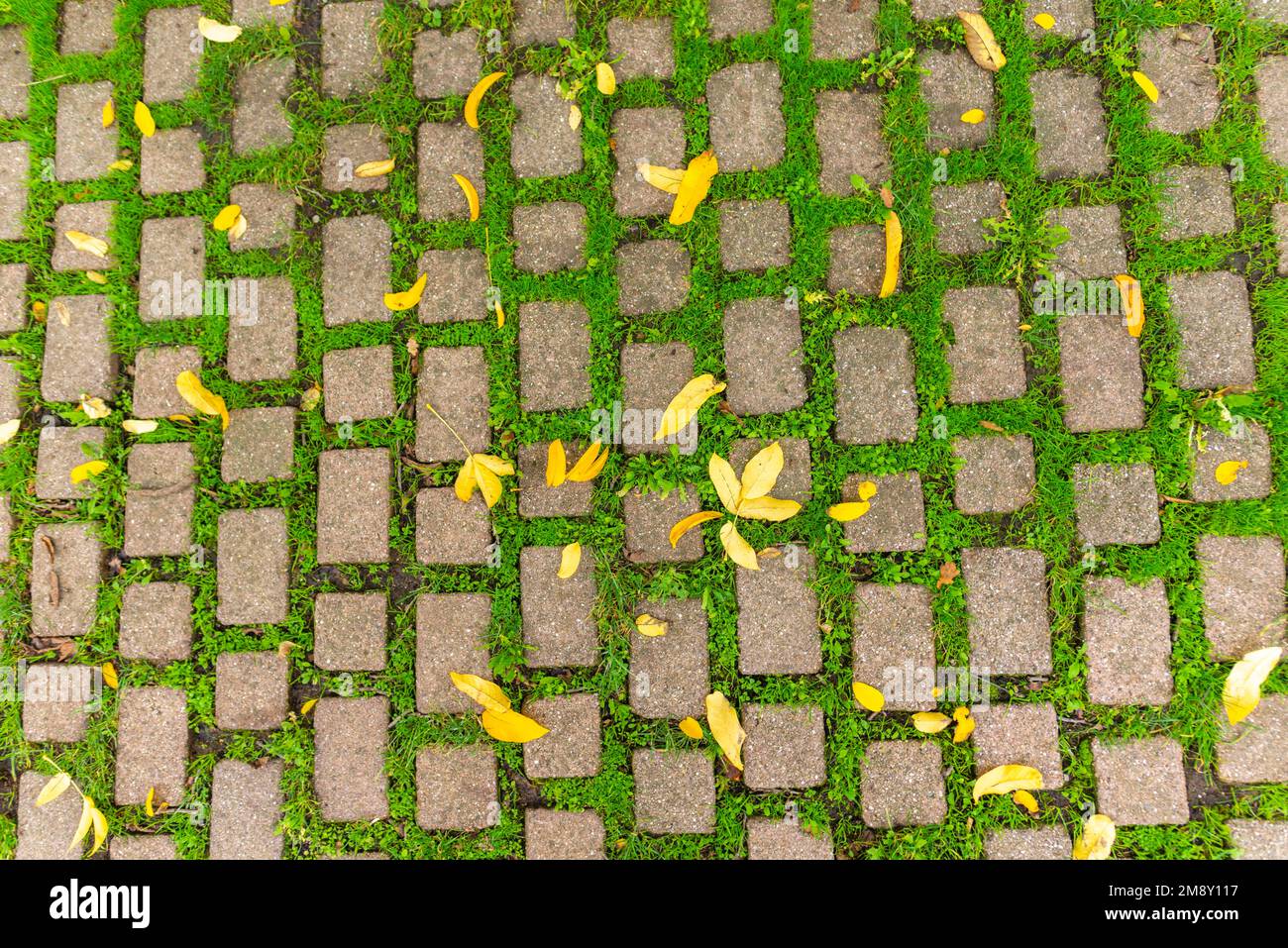Paving stone pattern hi-res stock photography and images - Alamy