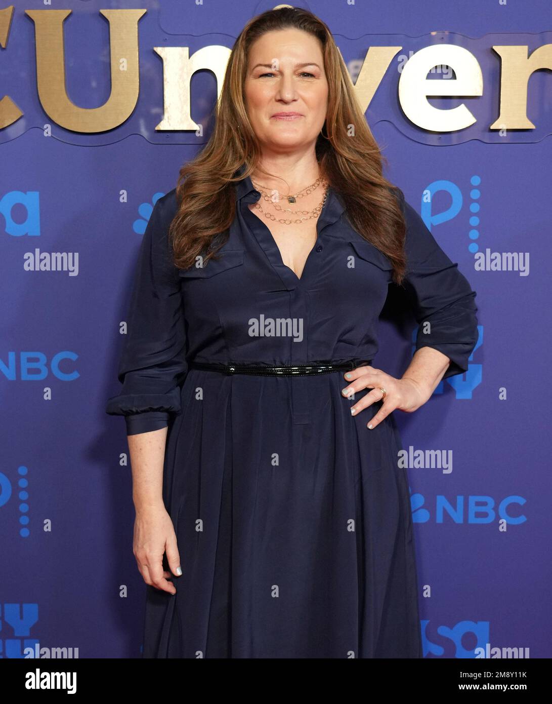 Los Angeles, USA. 15th Jan, 2023. Ana Gasteyer at the 2023 NBCUNIVERSAL Press Tour held at the ...