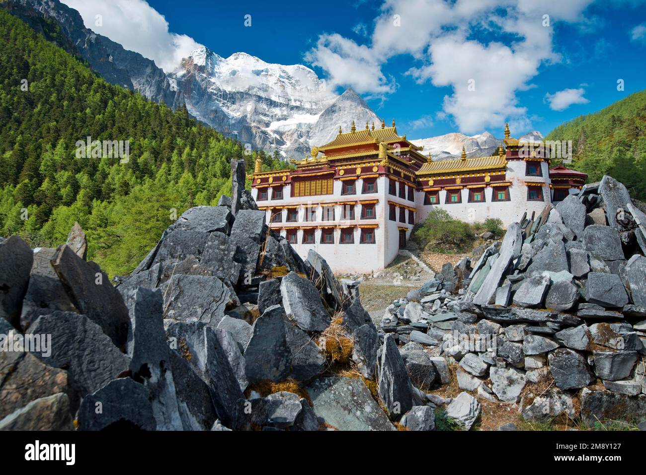 Chong gu hi-res stock photography and images - Alamy