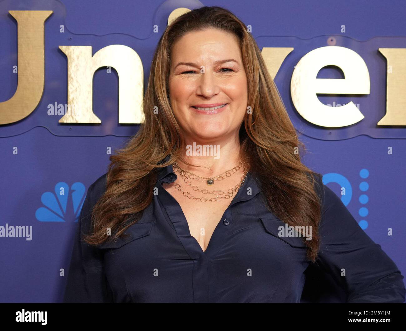 Ana Gasteyer at the 2023 NBCUNIVERSAL Press Tour held at the Langham ...
