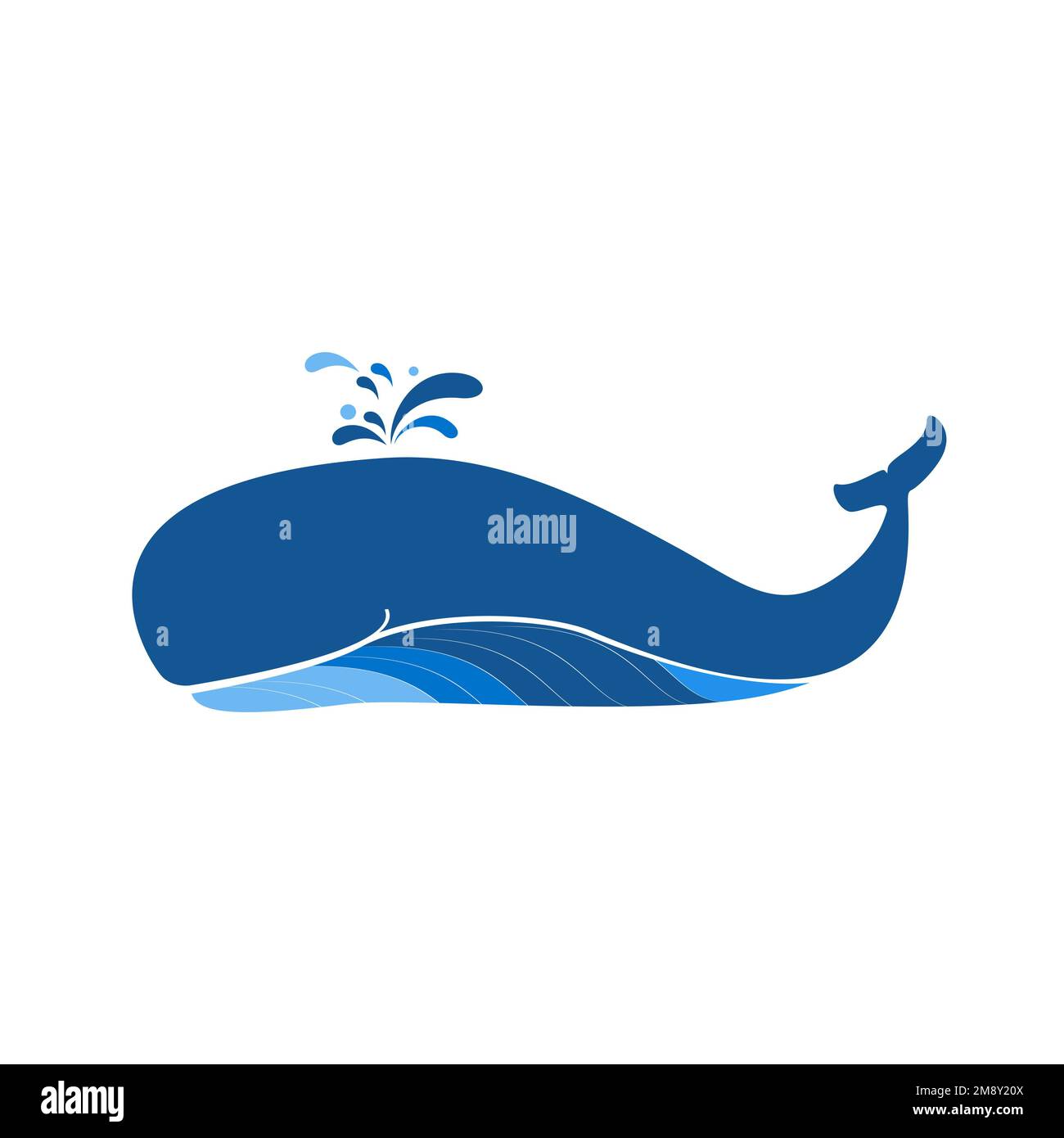 Blue Whale Vector
