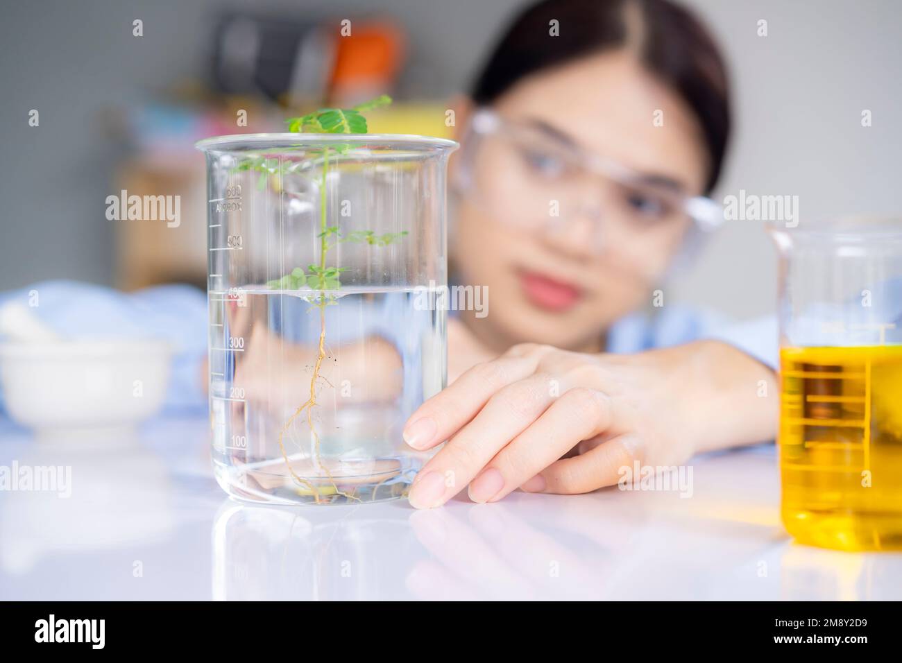 Biologist's holding young plant with root in test tube in lab ...