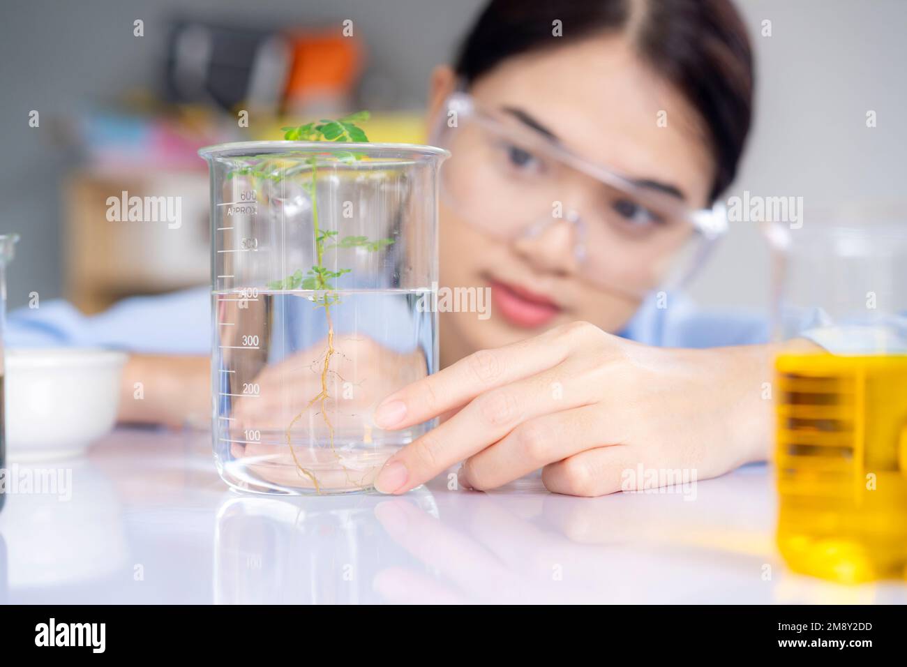 Biologist's holding young plant with root in test tube in lab ...