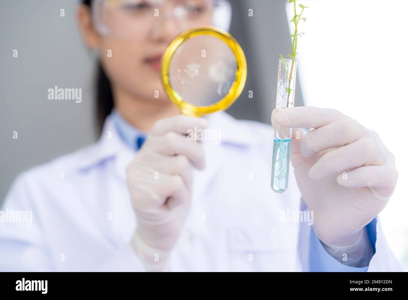 Biologist laboratory plant hi-res stock photography and images - Alamy