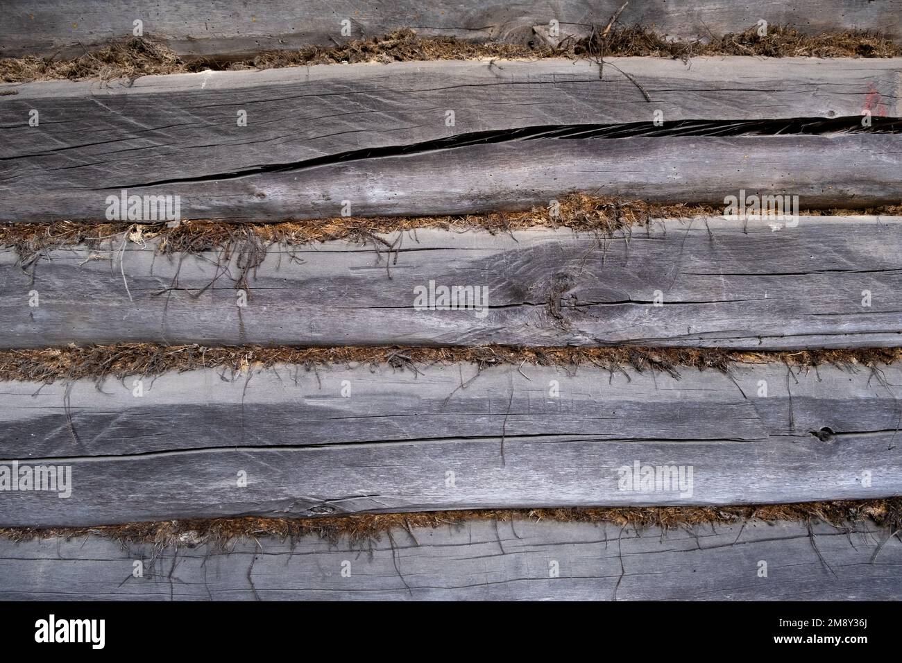 Wood wall boards texture, natural backgrounds old planks Stock Photo ...
