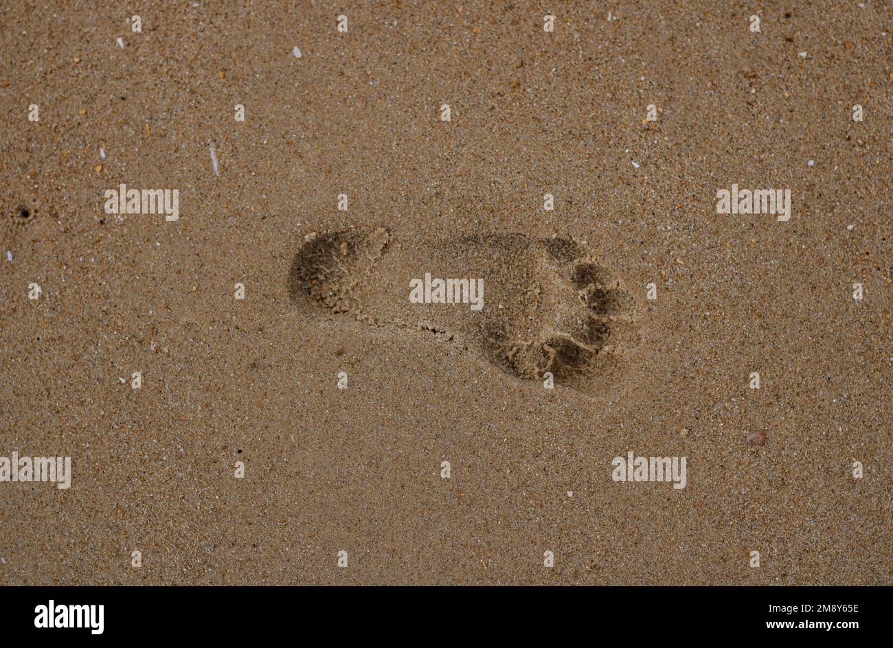 A single footprint on the sand of a beach Stock Photo - Alamy