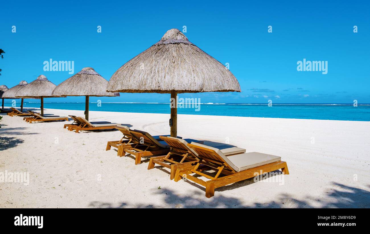 Tropical beach with palm trees and white sand blue ocean and beach beds ...