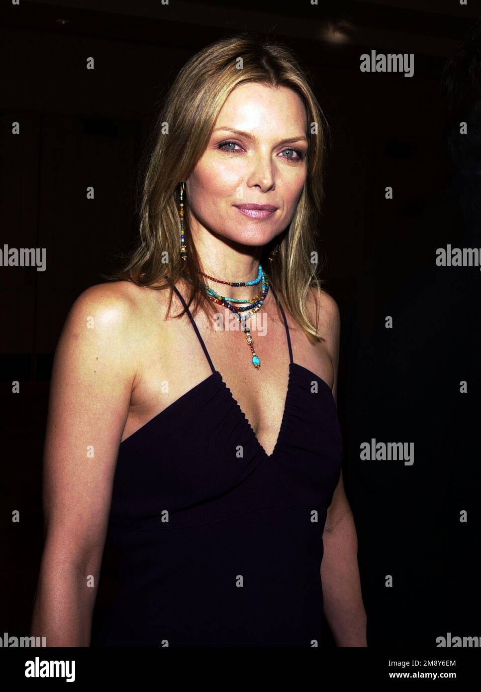 Michelle Pfeiffer attending the Producer's Guild Awards in 2001 Credit ...