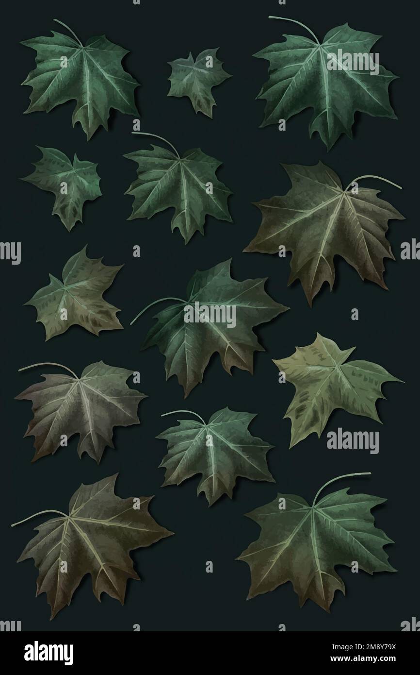 Leaf collection vector hi-res stock photography and images - Alamy