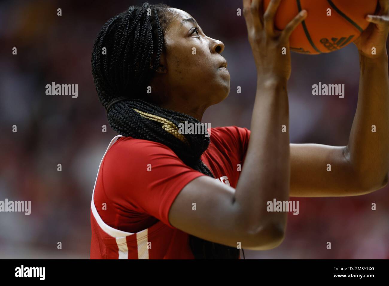 Arielle wisne hi-res stock photography and images - Alamy