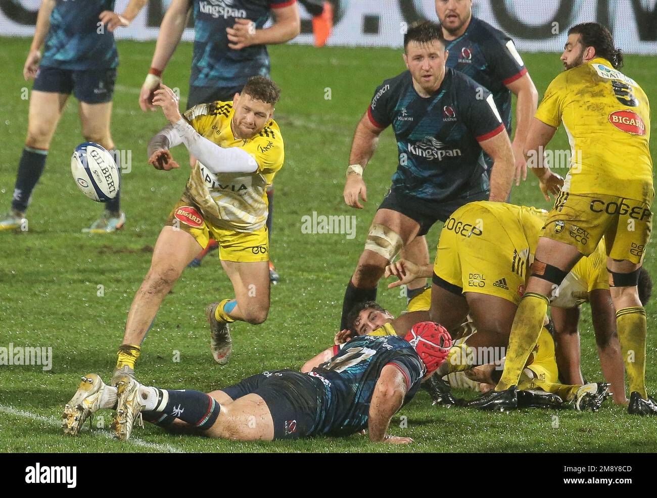 Tawera kerr barlow champions cup hi-res stock photography and images ...