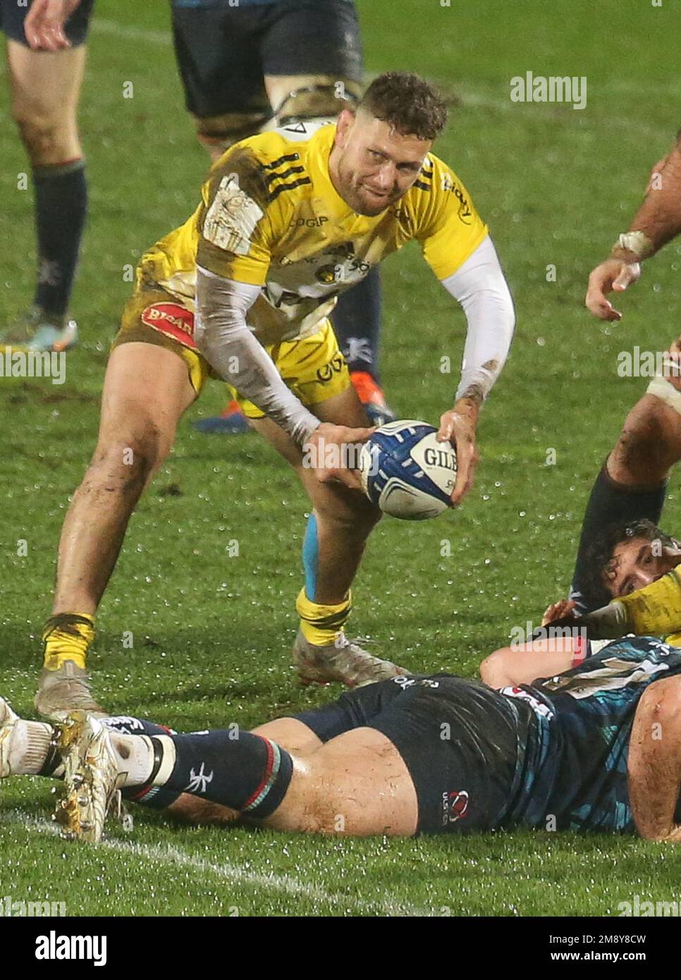 Tawera kerr barlow champions cup hi-res stock photography and images ...