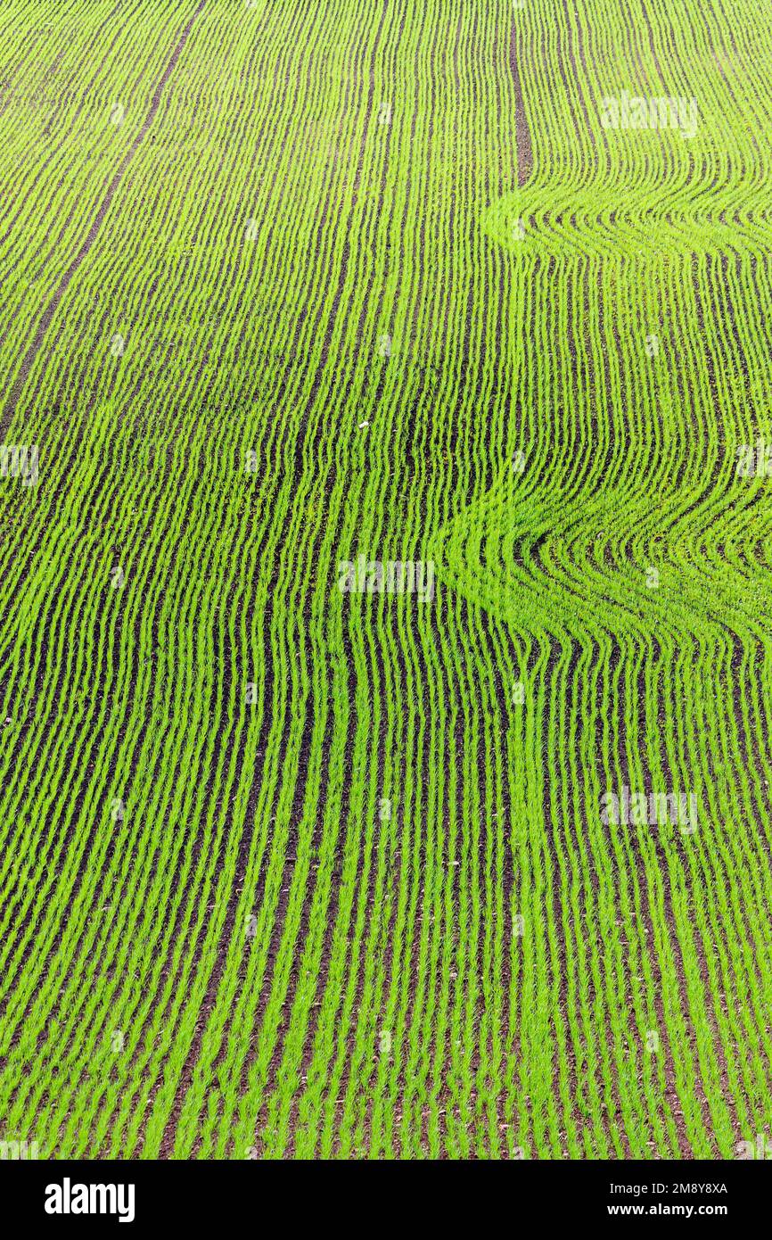 Sowed field hi-res stock photography and images - Alamy