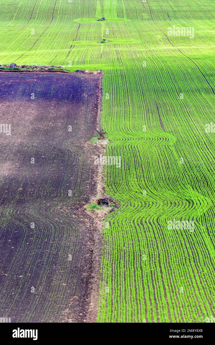 Aerial view farmland sown green hi-res stock photography and images - Alamy