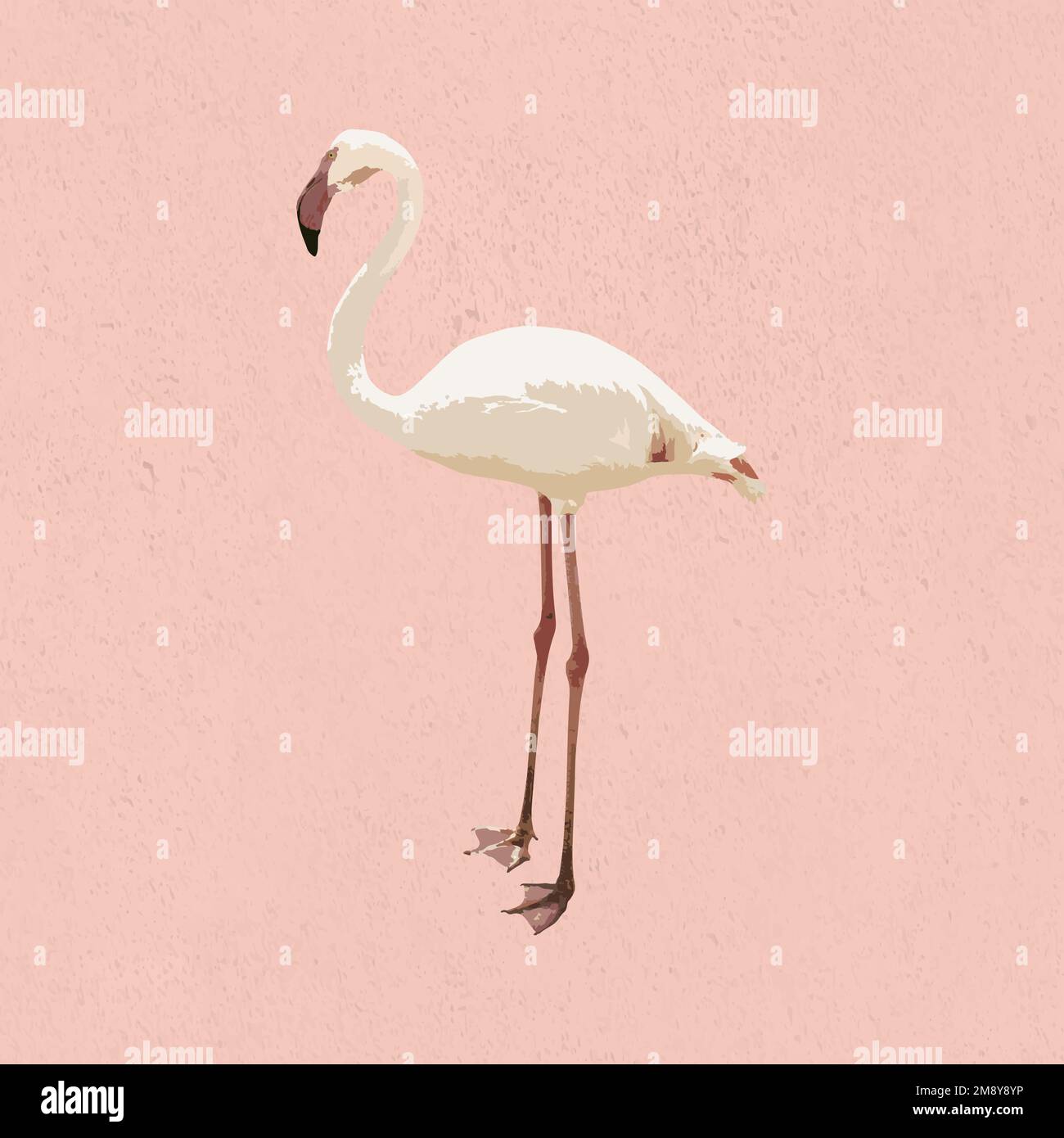 Vectorized white flamingo bird on a pink background Stock Vector Image ...