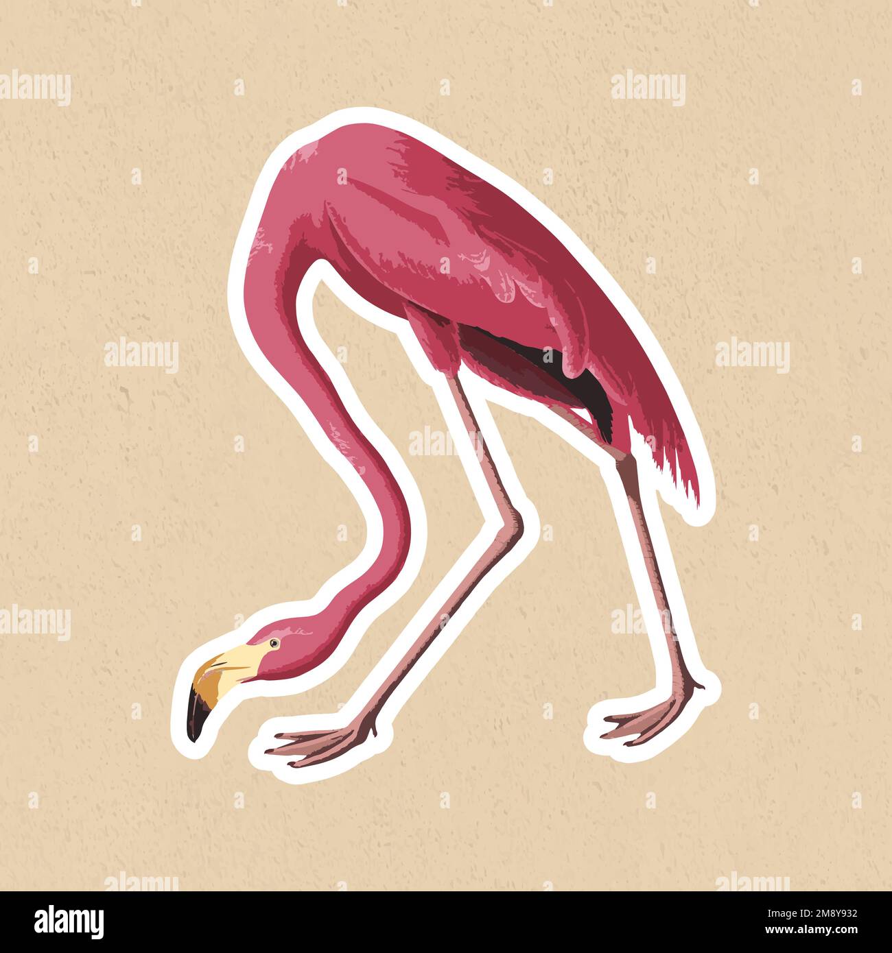 Vectorized pink flamingo bird sticker with white border Stock Vector ...