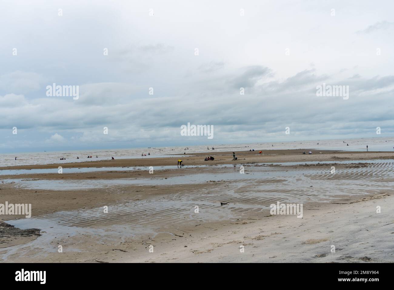 Seafront view with white sandy beaches in the middle of nature ...