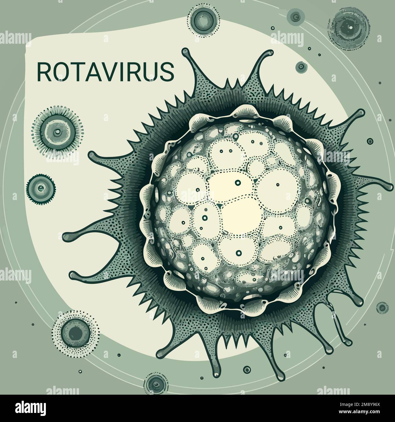 Vector illustration artist rendering of a microscopic rotavirus ...