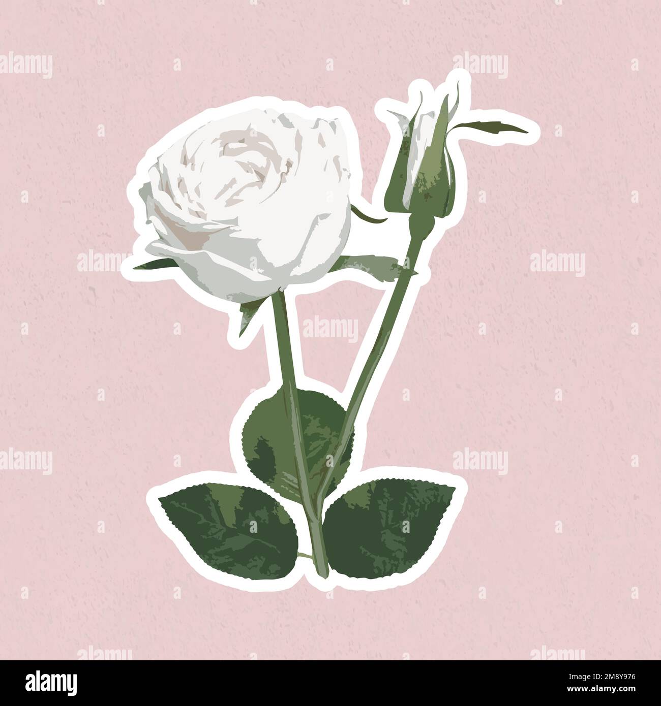Vectorized flowers hi-res stock photography and images - Alamy