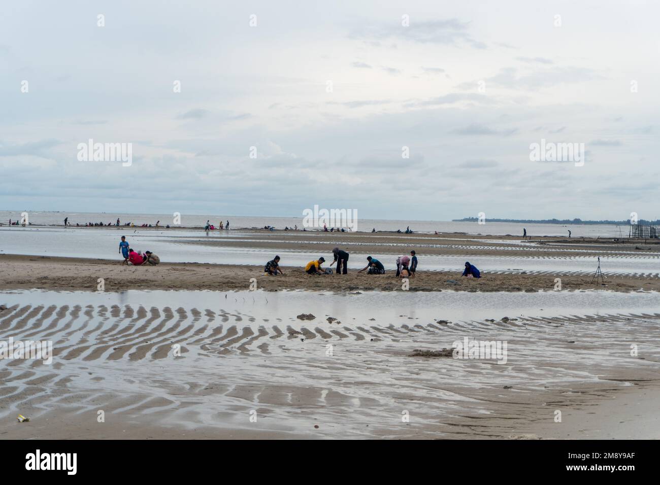 Seafront view with white sandy beaches in the middle of nature ...