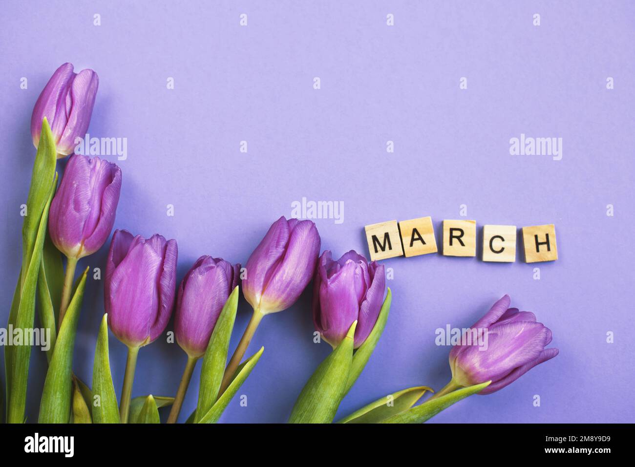 Purple bouquet of flowers tulips background with with the word march on ...