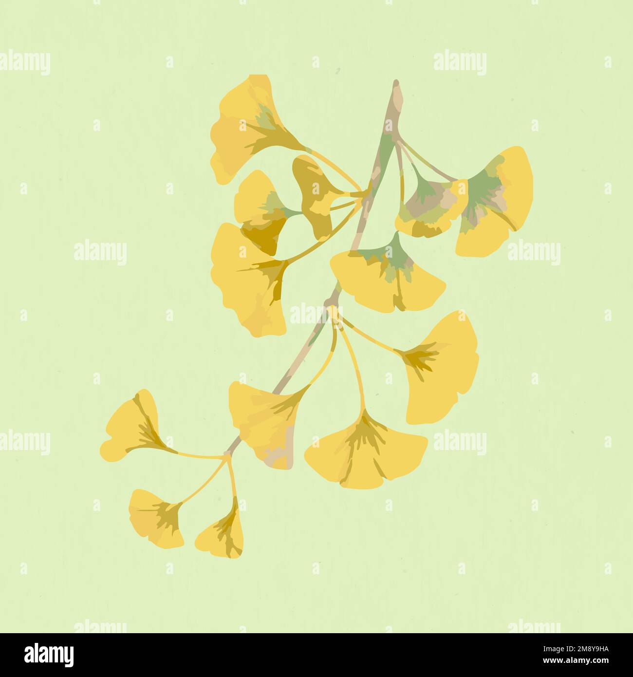 Vectorized branch of yellow ginkgo design element Stock Vector Image ...