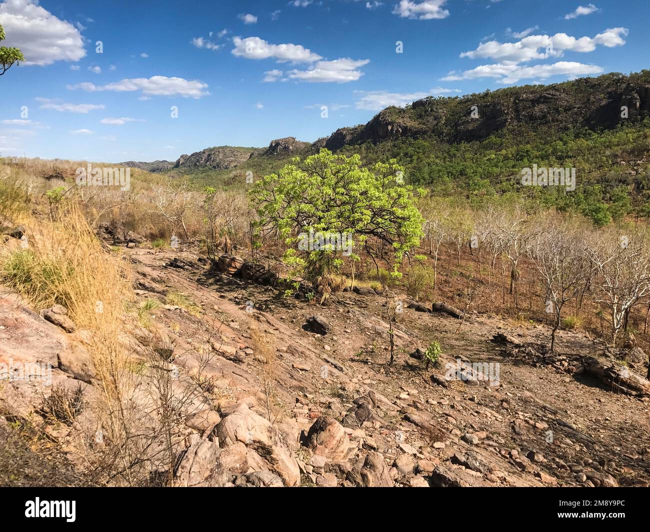 Vista nt hi-res stock photography and images - Alamy