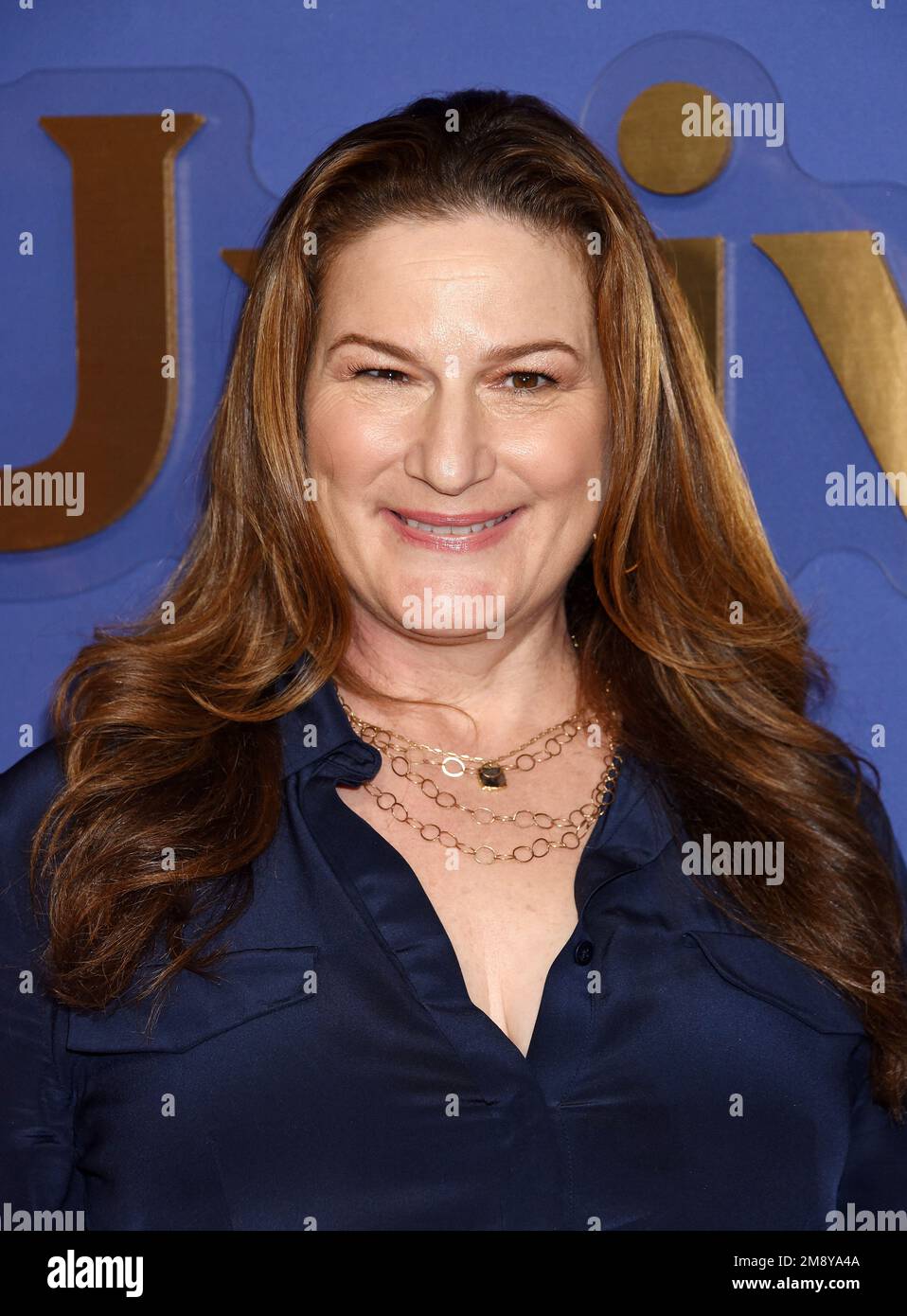 Pasadena, California, USA. 15th Jan, 2023. Ana Gasteyer arriving to the 2023 TCA Winter Press ...