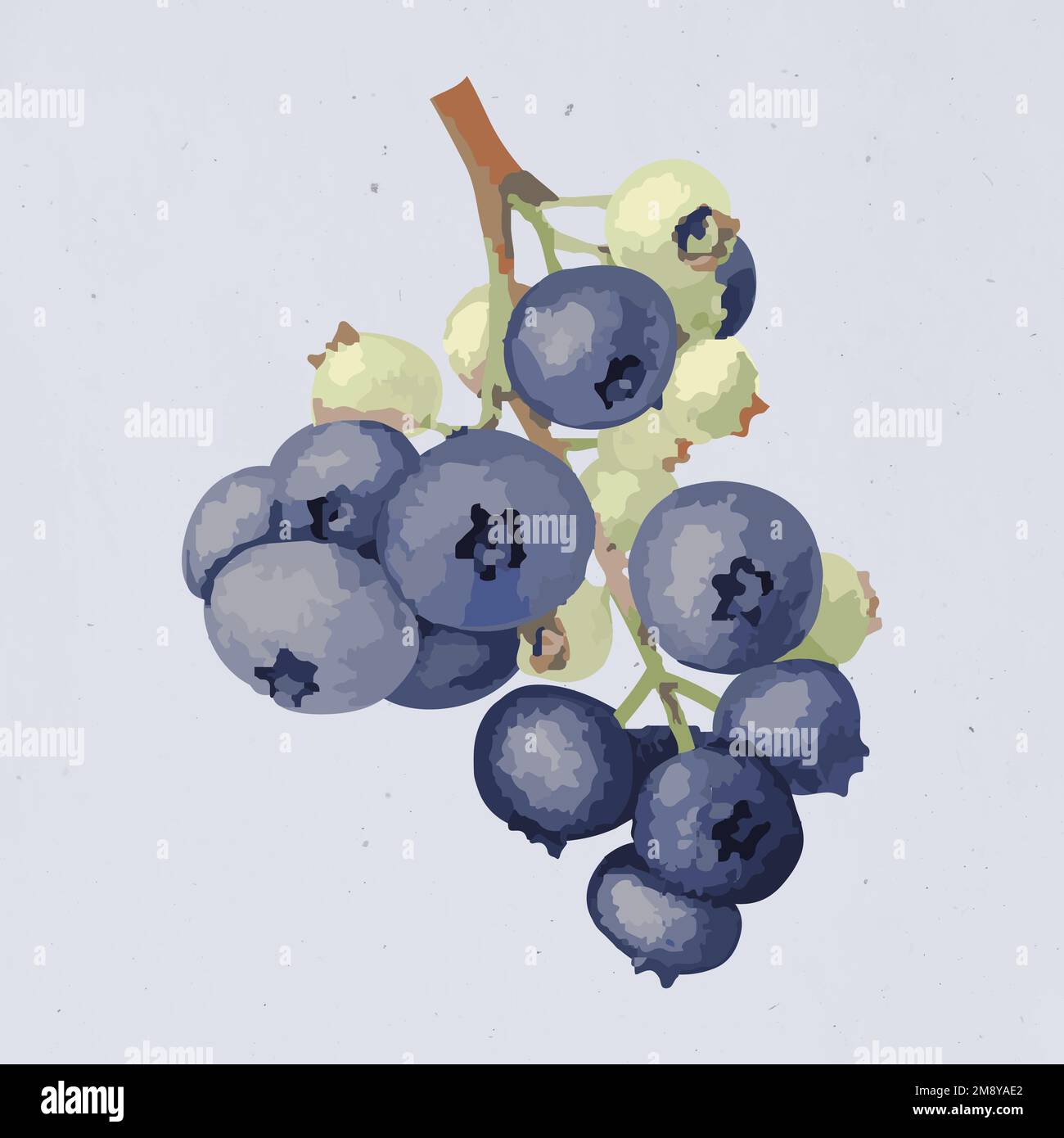 Vectorized blueberries sticker overlay design resource Stock Vector ...