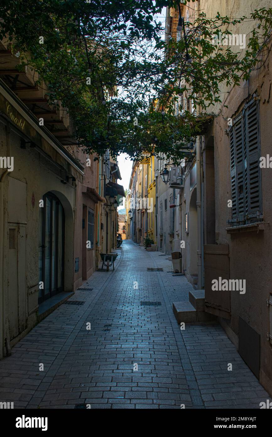 Narrow street with plants hi-res stock photography and images - Alamy
