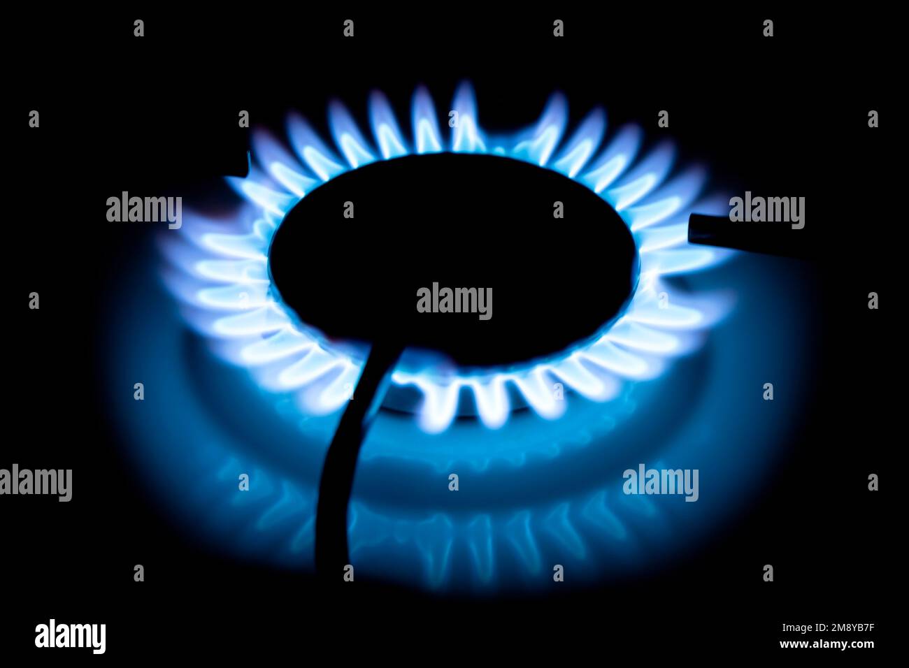 Gas cooker with burning fire propane gas. Blue flames on gas stove ...