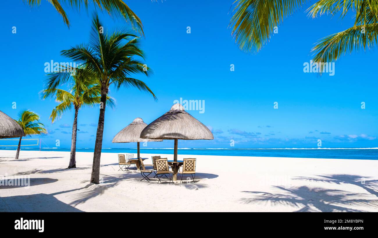 Tropical beach with palm trees and white sand blue ocean and beach beds ...