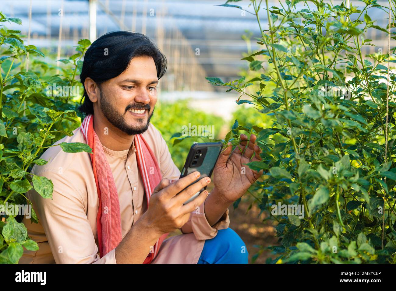 young farmer checking growth of plants from mobile phone application at ...