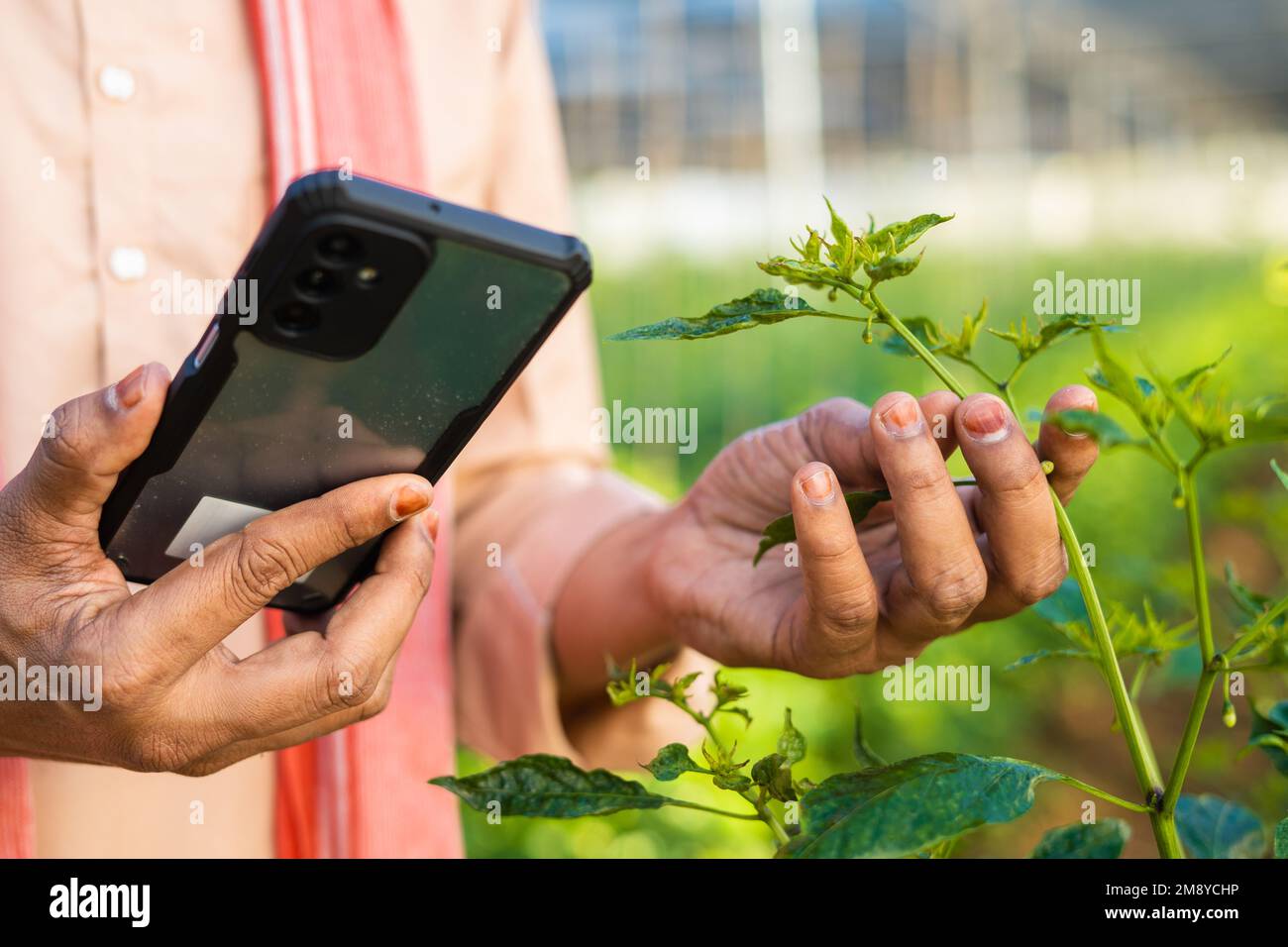 focus on hand, close up shot of farmer hands checking growth of plants ...