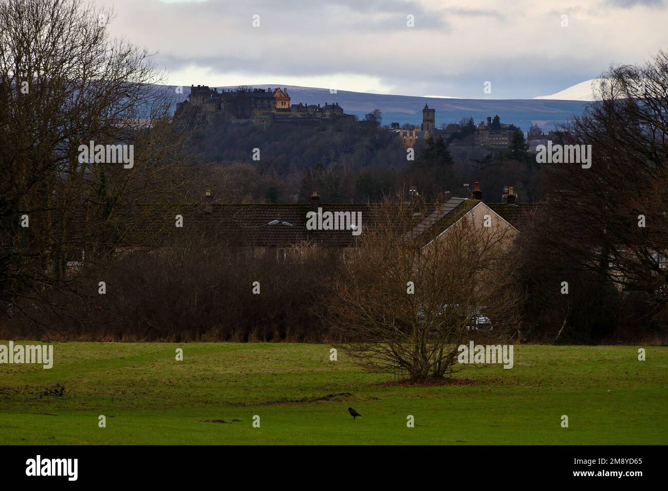 Stirling Castle from Bannockburn Stock Photo - Alamy