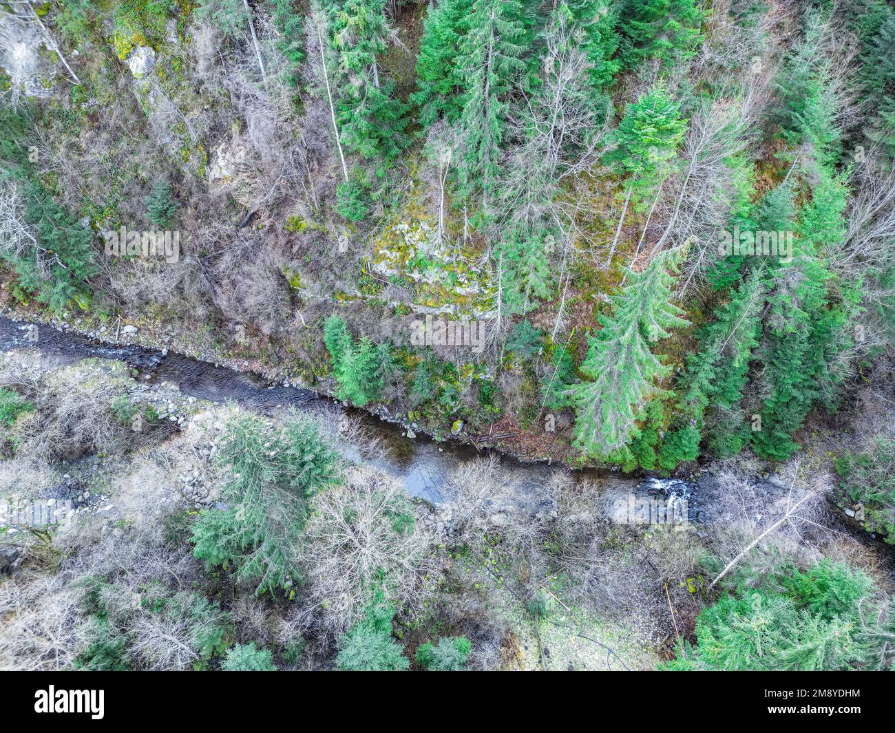 An aerial view of a river flowing through forest trees Stock Photo - Alamy