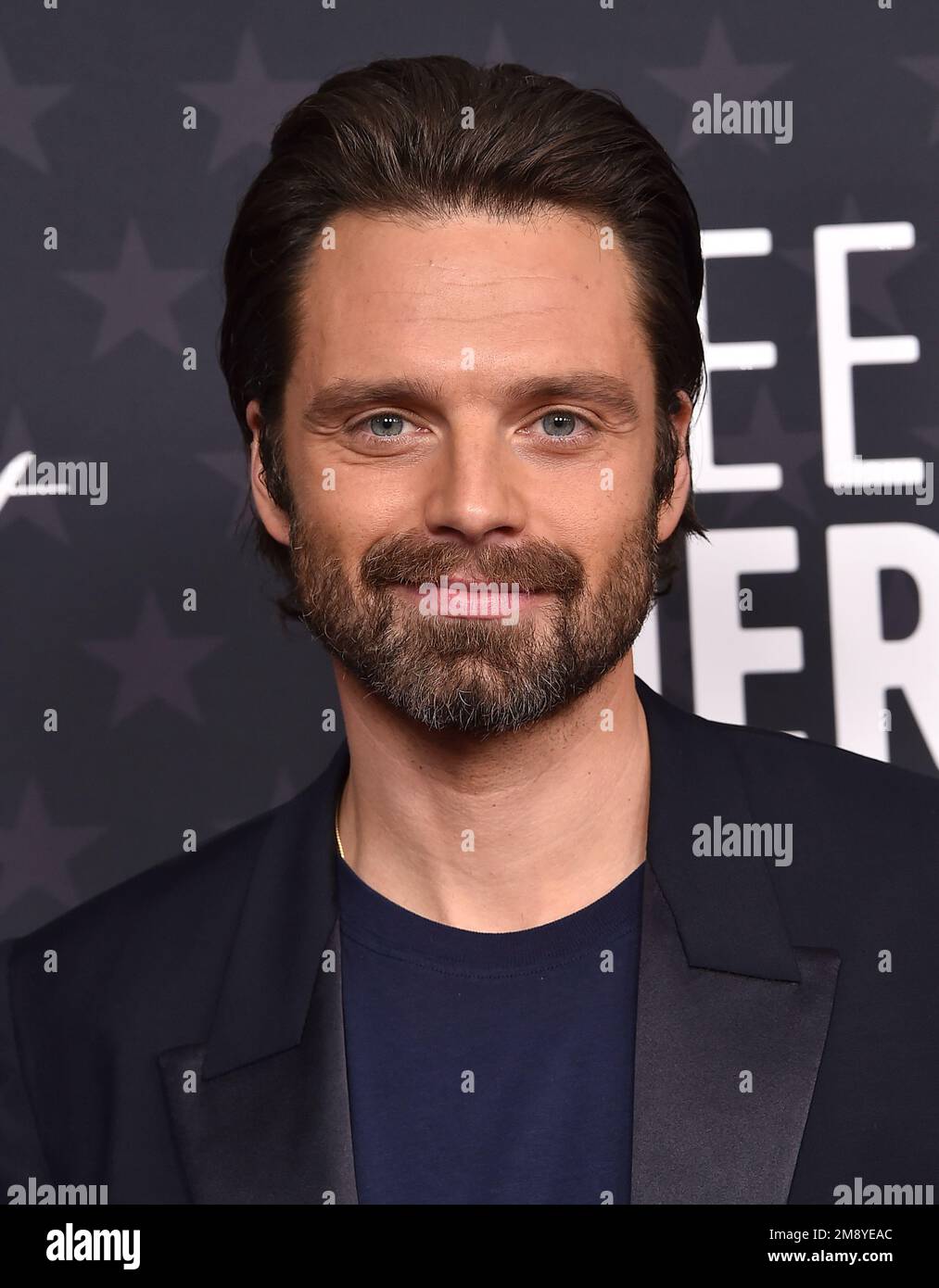 Los Angeles, USA. 15th Jan, 2023. Sebastian Stan arriving at the 28th ...