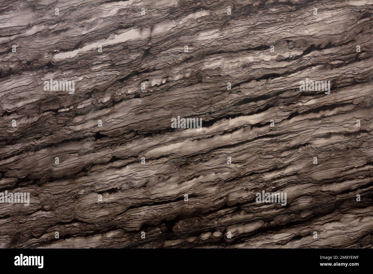 Sequoia Brown Quartzite background, texture in brown tone for your ...