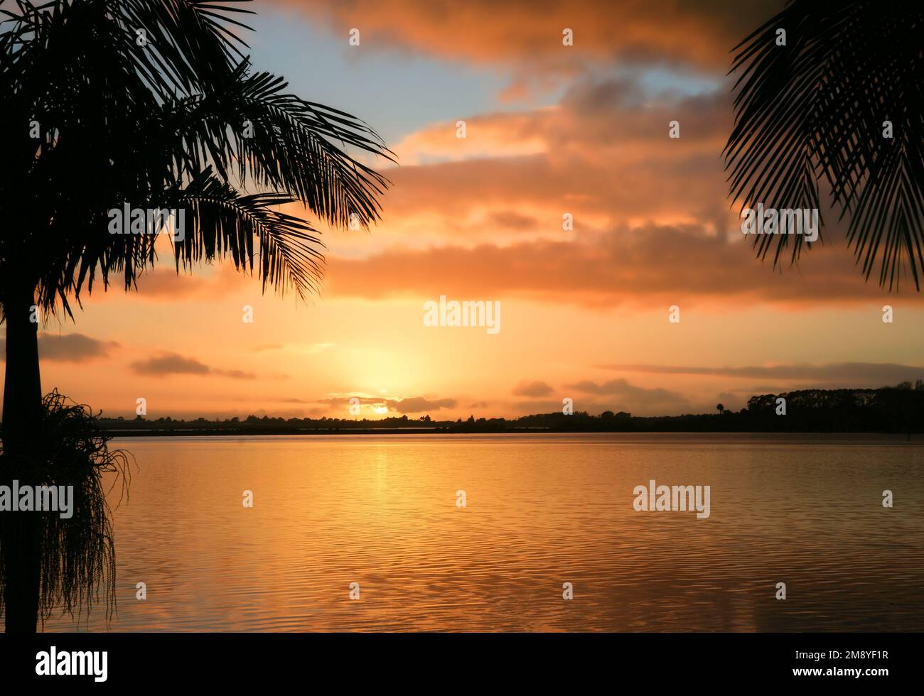deep moody sunrise over bay in strong golden hues at Tauranga New ...