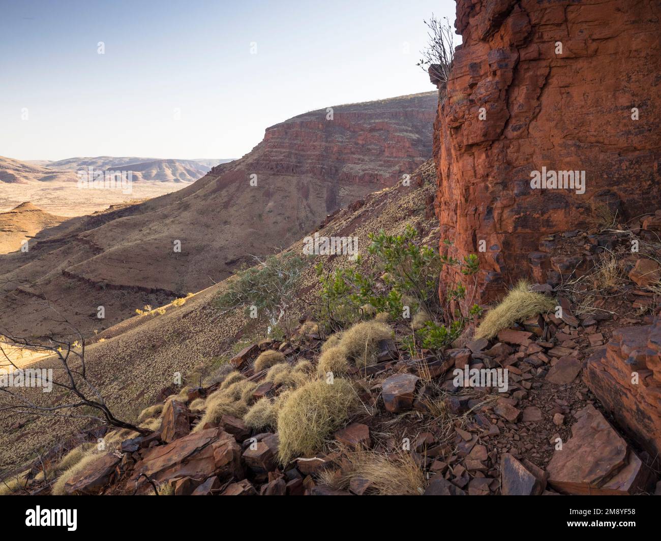 The cliffs at the top of the scree slope, Mt Bruce (Punurrunha ...