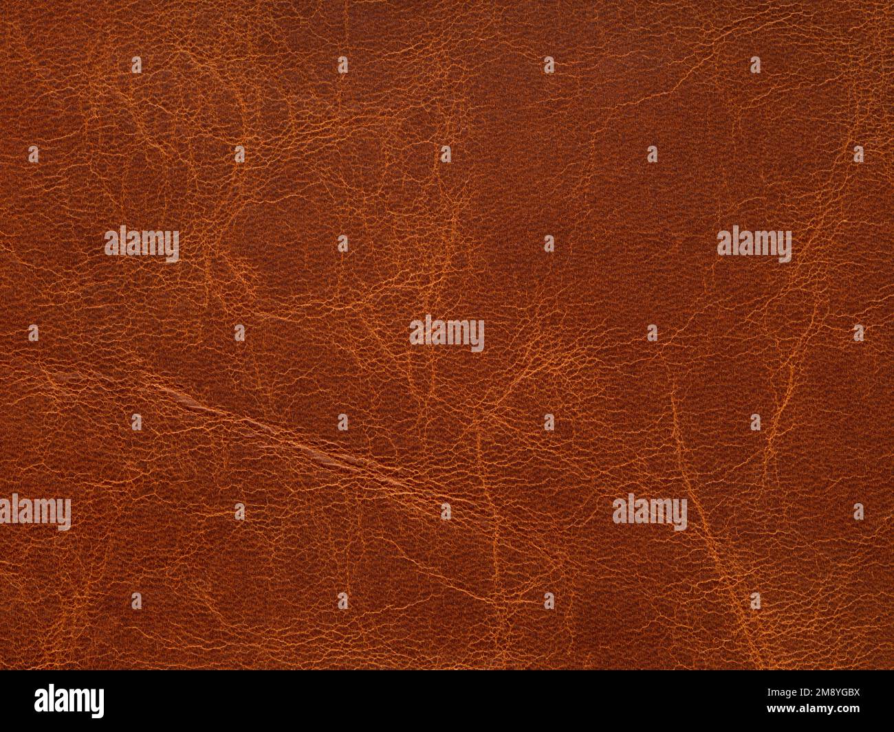 Genuine luxury orange, red, brown leather texture sample. Background ...