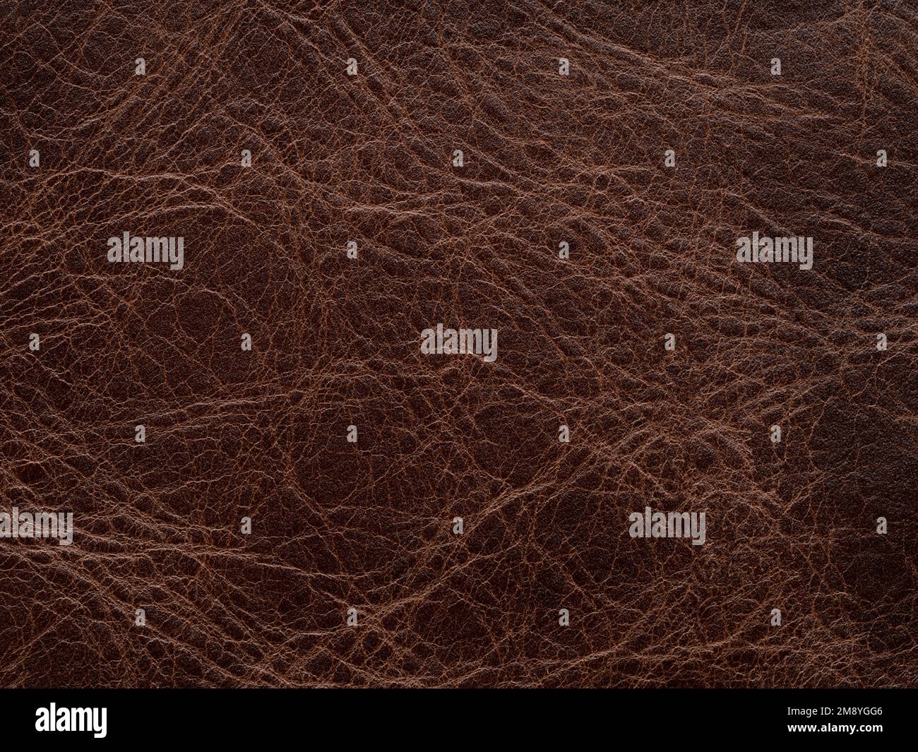 Genuine luxury dark brown vintage leather texture sample. Textured ...