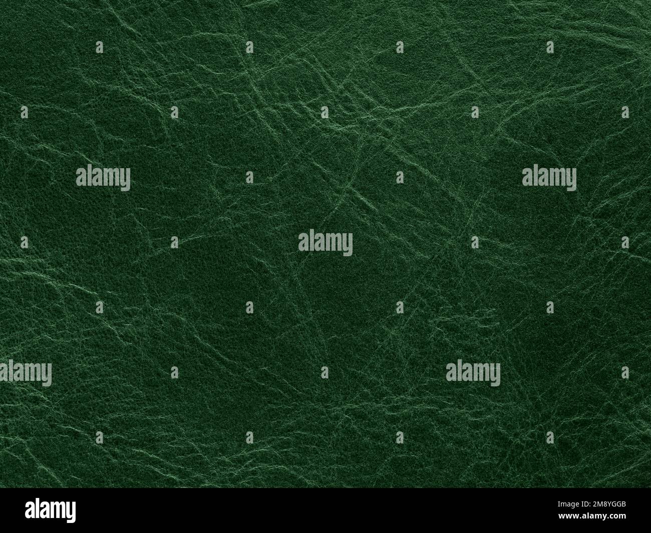 Green luxury quality leather, natural material with design lines ...