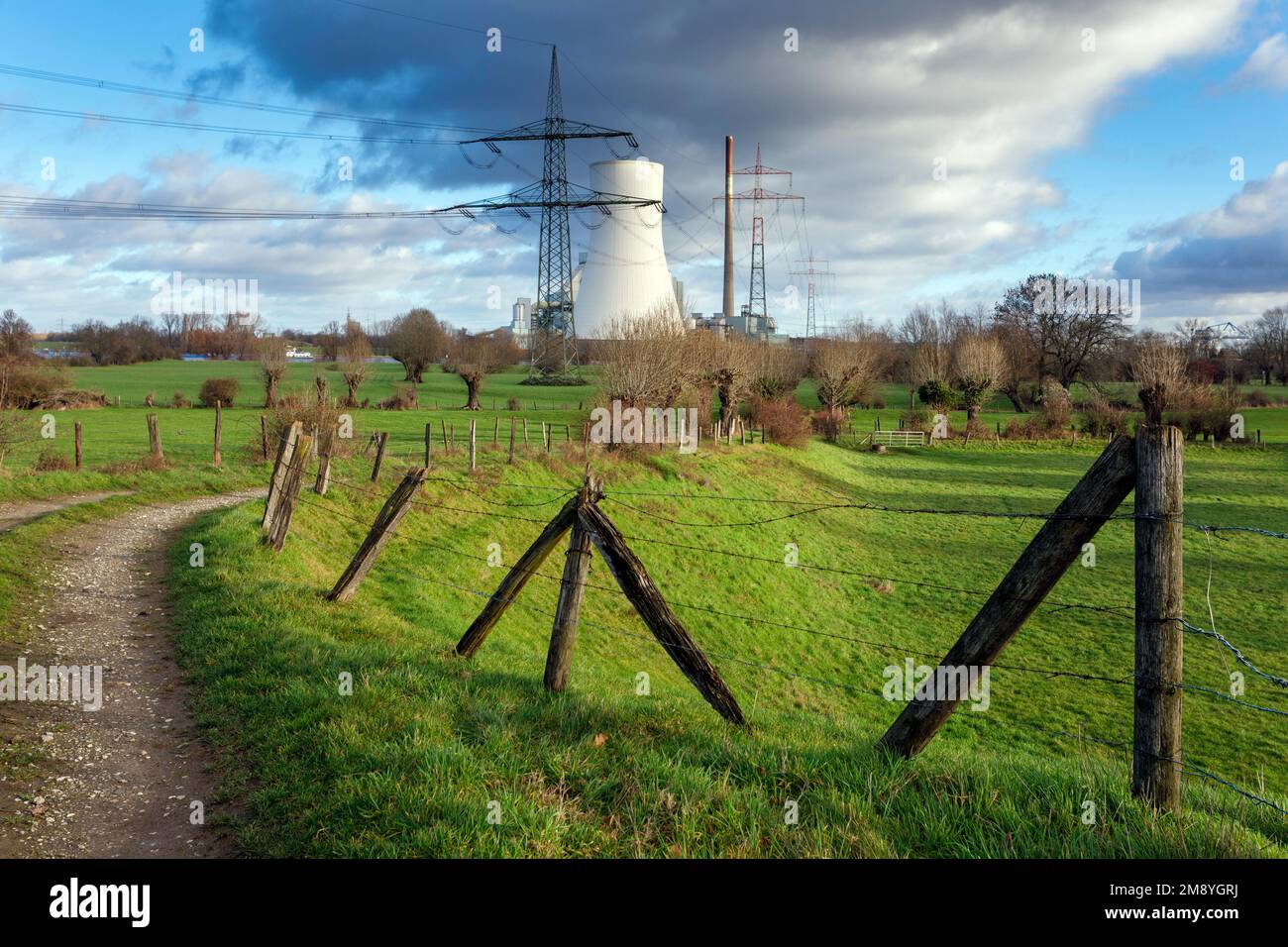 Rheinaue Binsheim nature reserve on the banks of the Rhine, in the ...