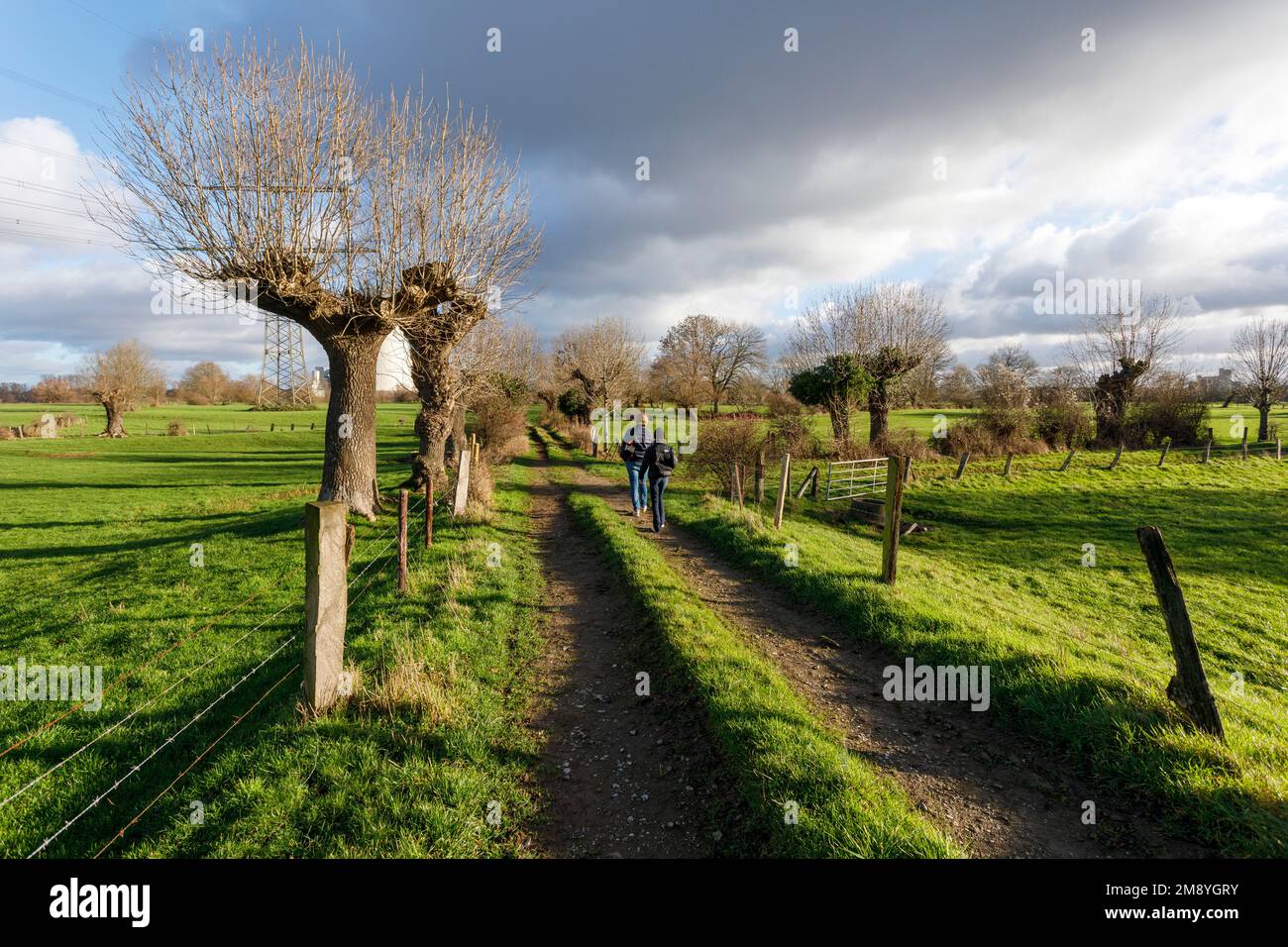 Local recreation in the Rheinaue Binsheim nature reserve on the banks ...