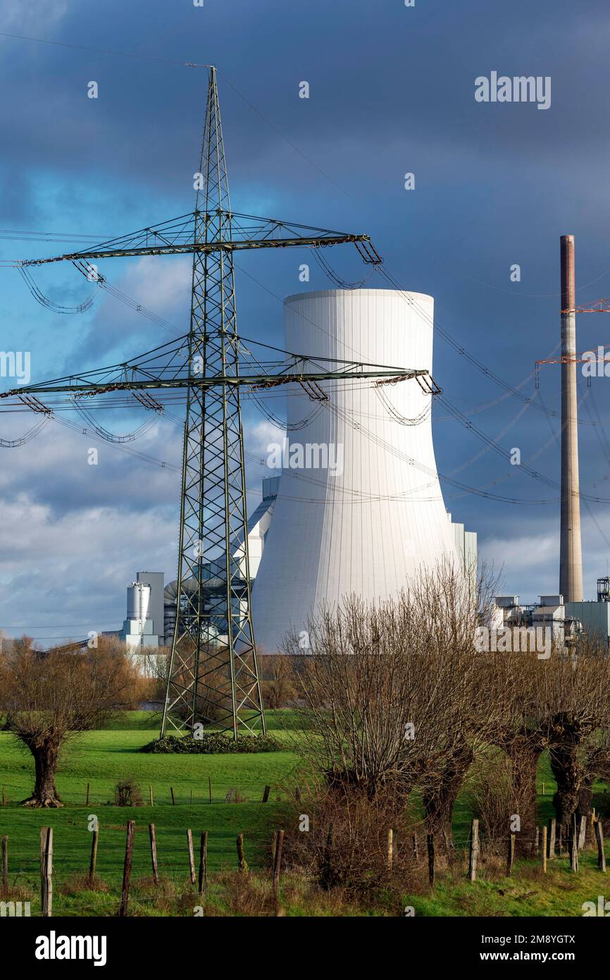 Rheinaue Binsheim nature reserve on the banks of the Rhine, in the ...