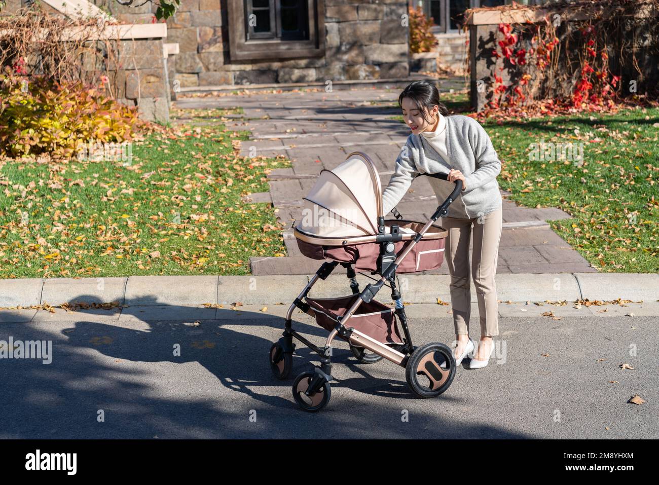Young mother pushing a stroller for a walk Stock Photo - Alamy