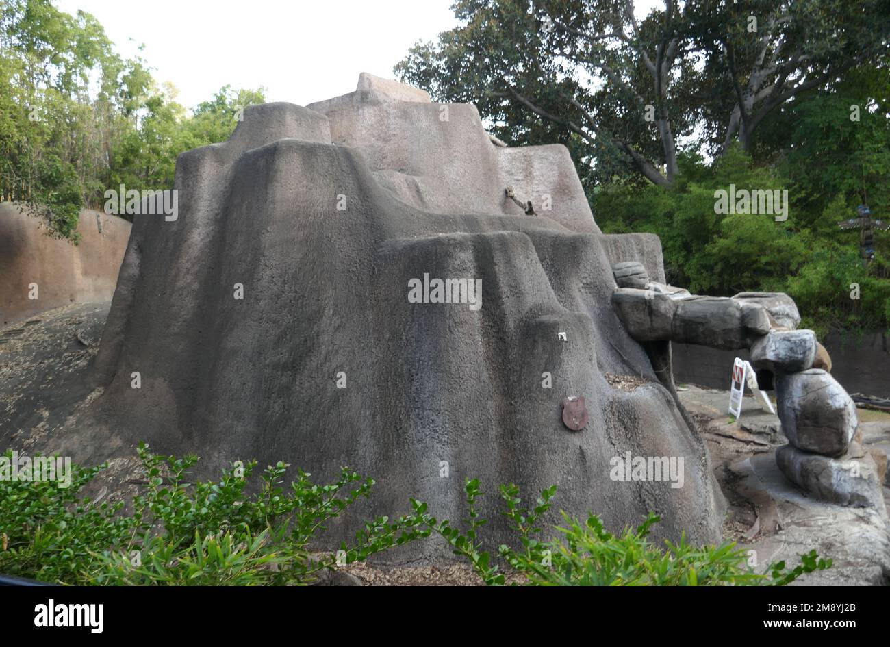 Los Angeles, California, USA 12th January 2023 American Black Bear Former Exhibit at LA Zoo on ...