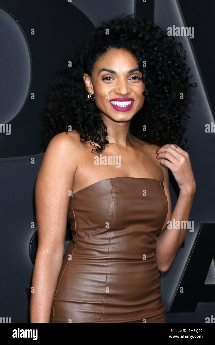 LOS ANGELES - JAN 5: Gabrielle Ryan at the "BMF" Season 2 Premiere at the TCL Chinese Theater ...