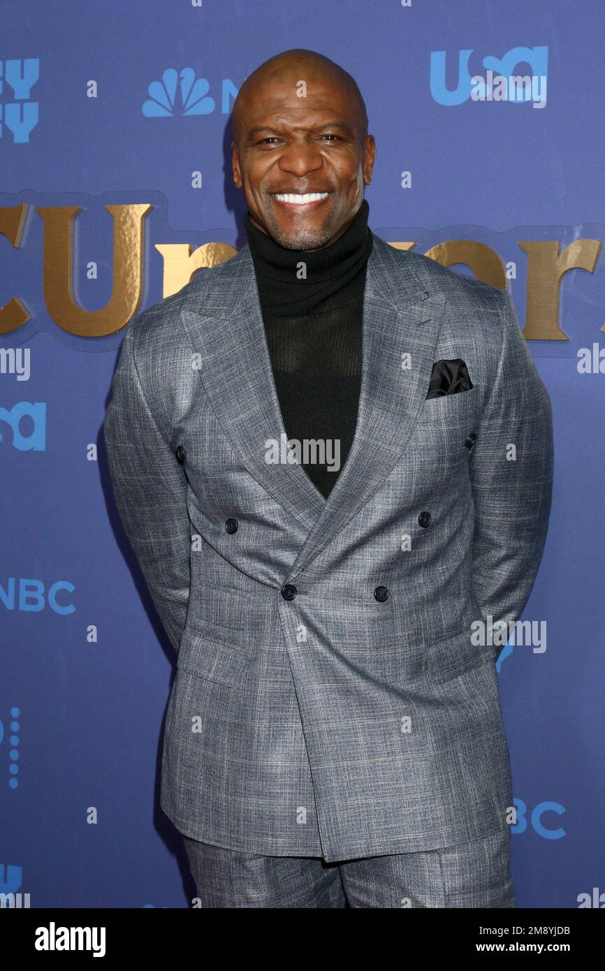 LOS ANGELES - JAN 15: Terry Crews at NBCUniversal Press Tour Red Carpet ...